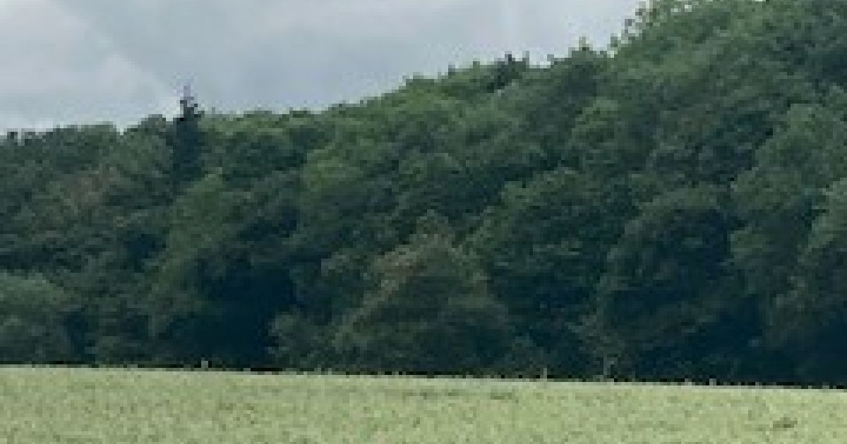 Stocktonbury Gardens Meander - Ramblers